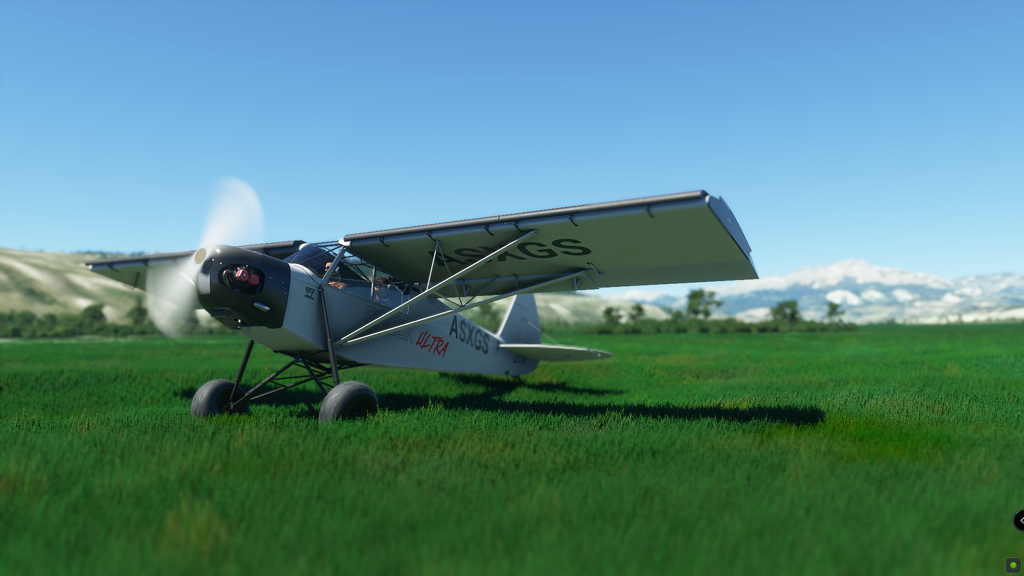 What's good about FS2020? 🤔 - World Photographer & Screenshots ...