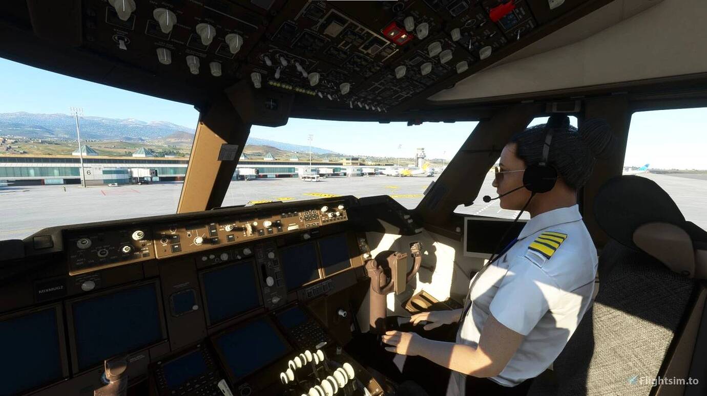 [Release] Add Co-Pilot to your Aircraft! - 3rd Party Product ...