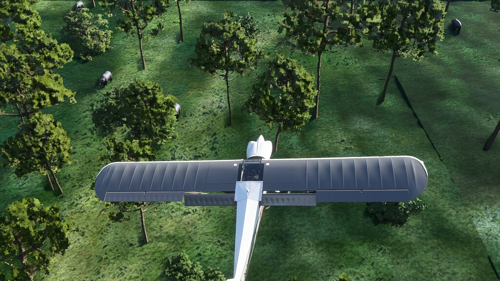 Black Bears at Lake Tahoe - Screenshots - Microsoft Flight Simulator Forums