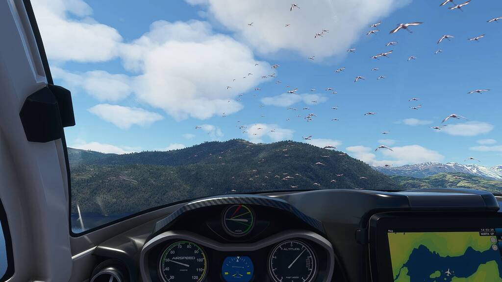 Flamingos - World Photographer & Screenshots - Microsoft Flight ...