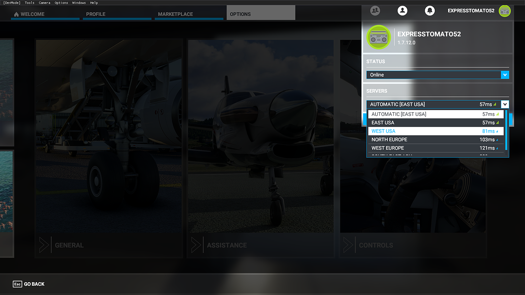 [HOW-TO] Select Servers - Community Guides - Microsoft Flight Simulator ...