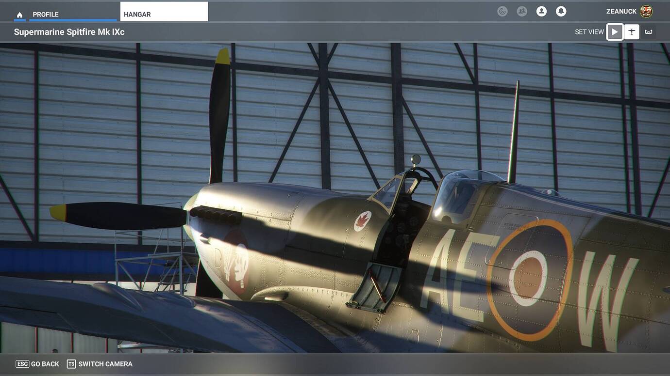 Spitfires! - Screenshots - Microsoft Flight Simulator Forums