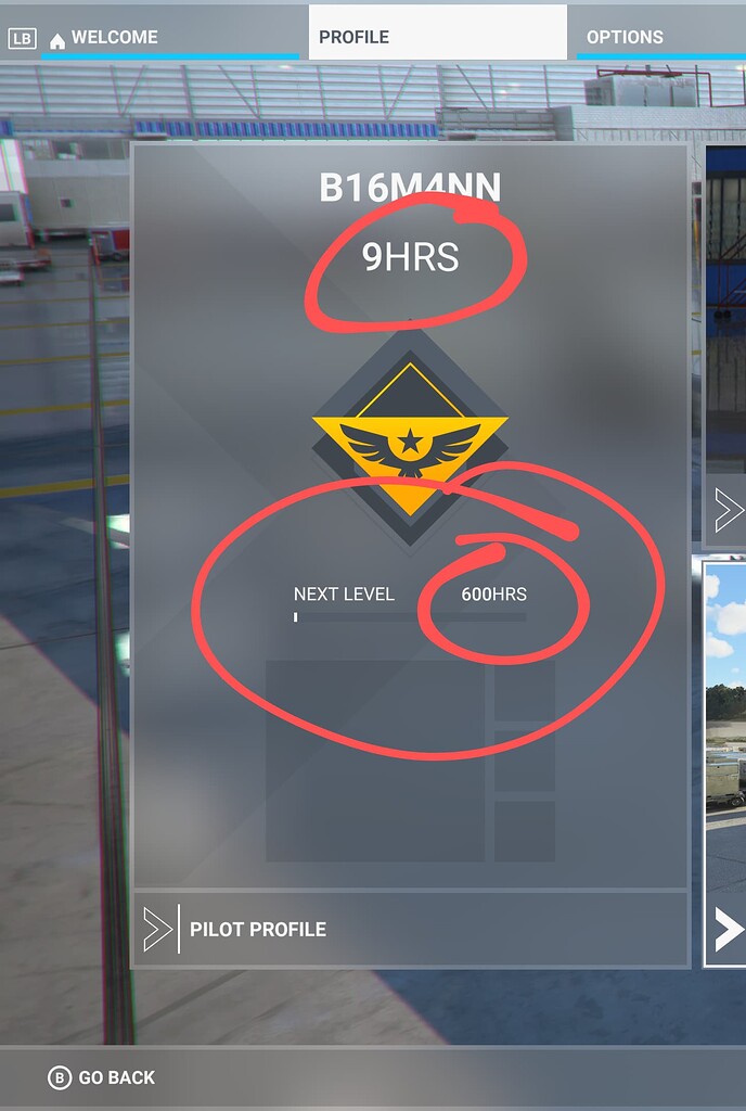 Pilot Profile error - User Interface & Activities - Microsoft Flight ...