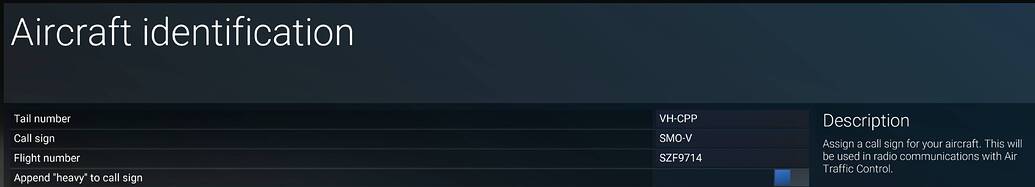 Call sign and tail number - Aircraft & Systems - Microsoft Flight ...