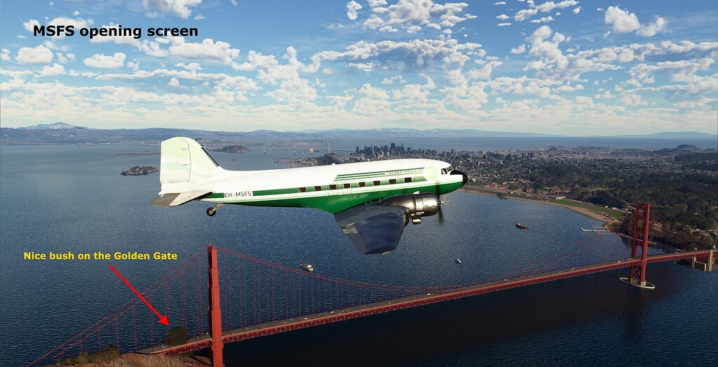MSFS Initial Screen with bug - Miscellaneous - Microsoft Flight ...