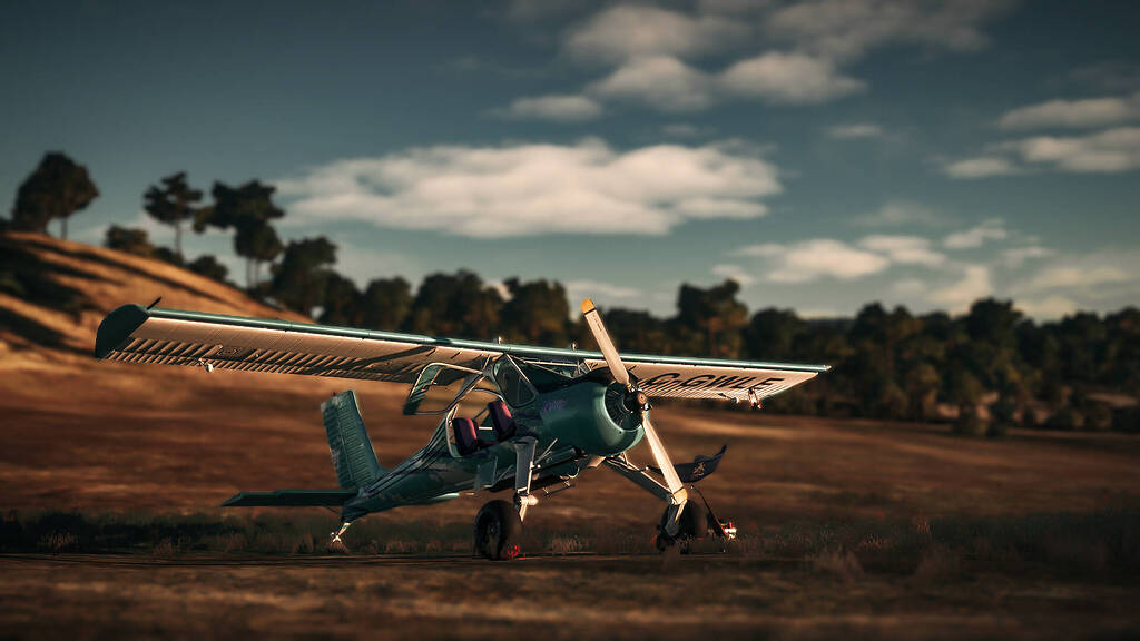 Let’s see some bush flying shots! - World Photographer & Screenshots ...