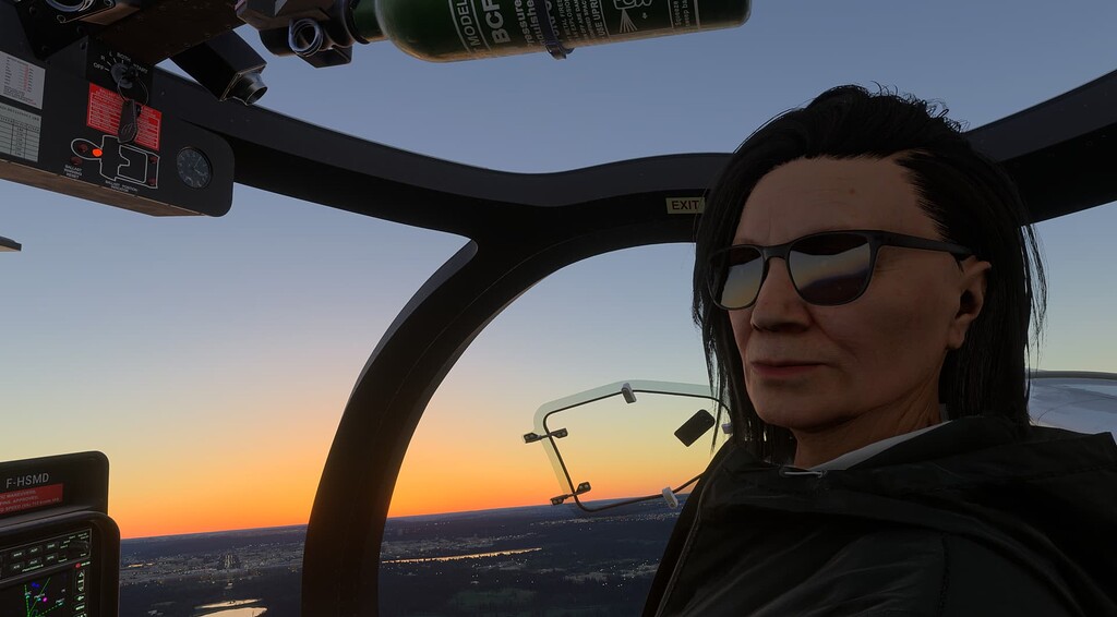 Copilots? - Aircraft - Microsoft Flight Simulator Forums