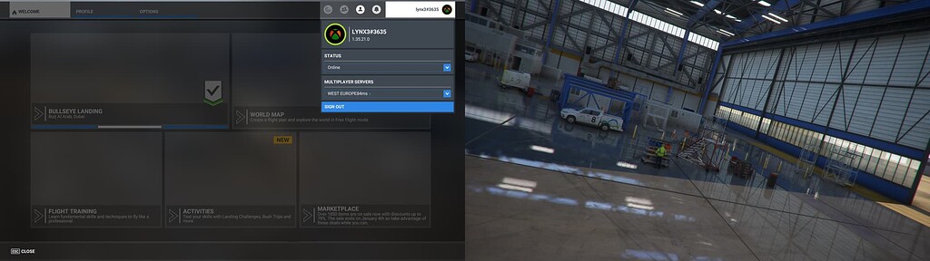 Missing Content in all CoherentGT UI frames - User Interface & Activities - Microsoft Flight ...