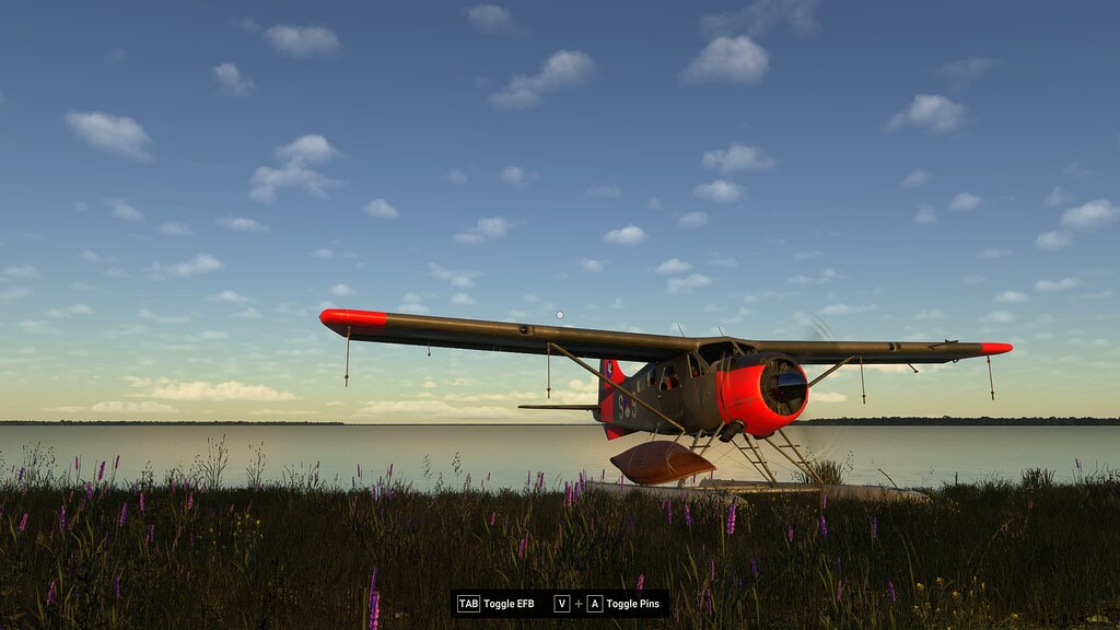 Fauna & Flora of MSFS 2024 - World Photographer & Screenshots ...