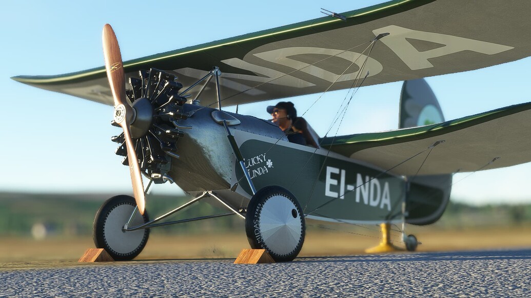 [RELEASED] Rara-Avis Sims Pou du Ciel (Flying Flea) - Aircraft ...