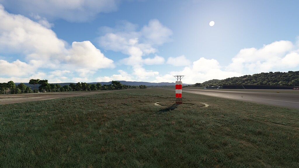 Duplicate windsock in LECO - Scenery and Airports - Microsoft Flight Simulator Forums