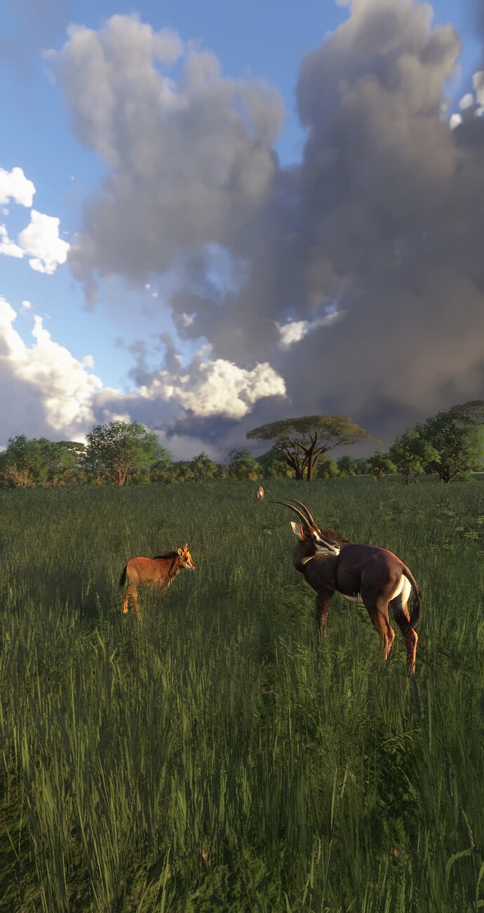 Fauna & Flora of MSFS 2024 - World Photographer & Screenshots ...