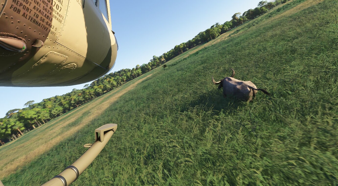 Fauna & Flora of MSFS 2024 - World Photographer & Screenshots ...