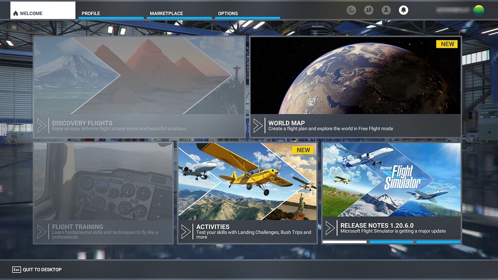 Online functionality issues, missing all aircraft, and out of ideas ...