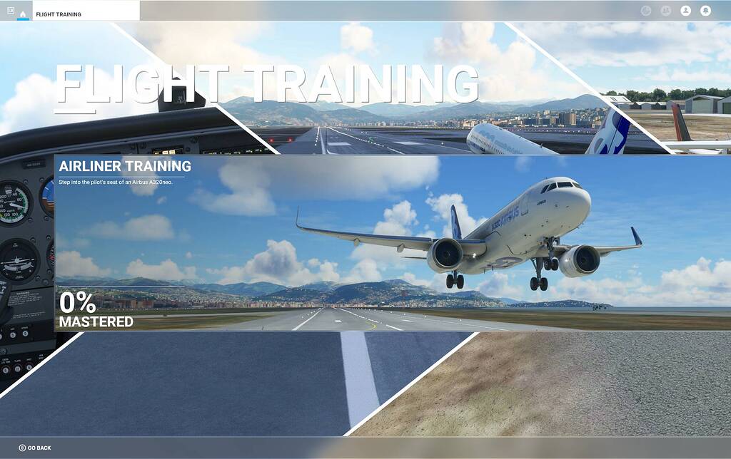 Flight training menu options disappeared - User Interface & Activities ...