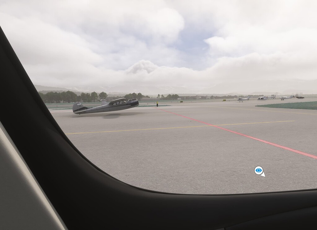 Static aircraft visible from cockpit but invisible in external view ...