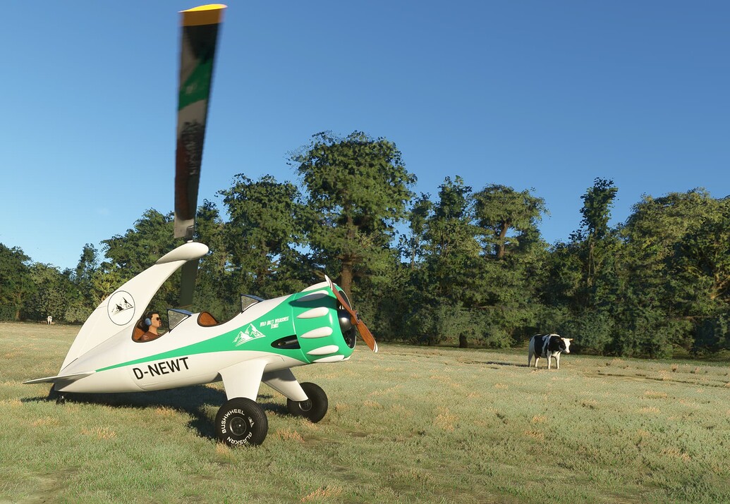 [RELEASED] Rara-Avis Sims Bulldog Autogyro - #124 by dubnewt2648 ...