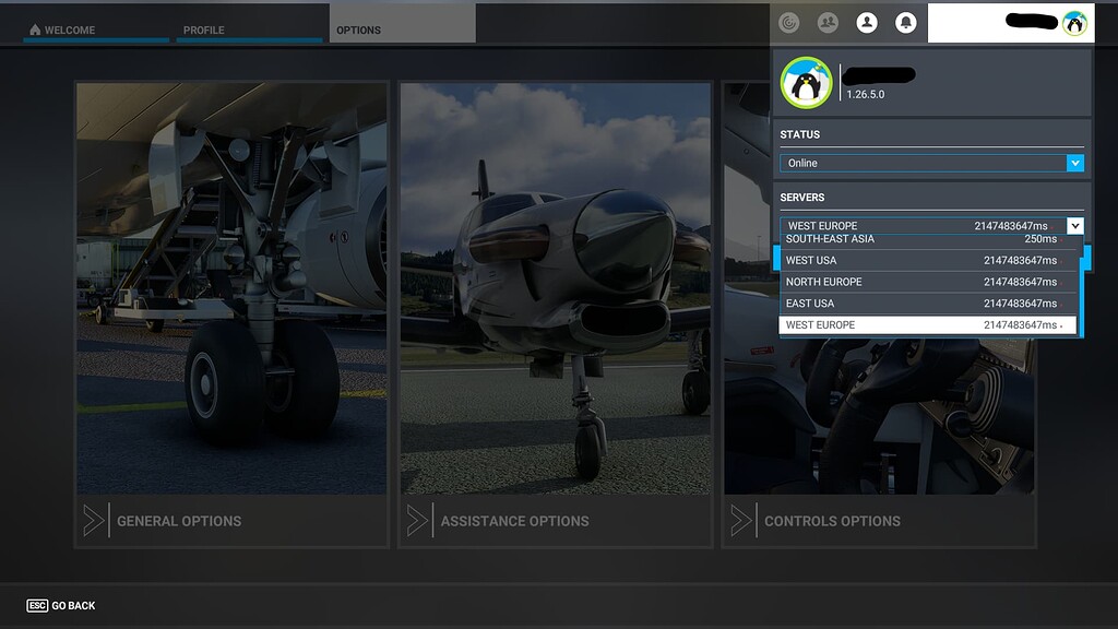 Ping 2147483647ms - User Interface & Activities - Microsoft Flight Simulator Forums