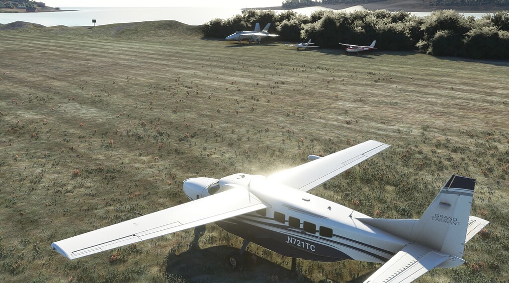 Lost AI - World Photographer & Screenshots - Microsoft Flight Simulator ...