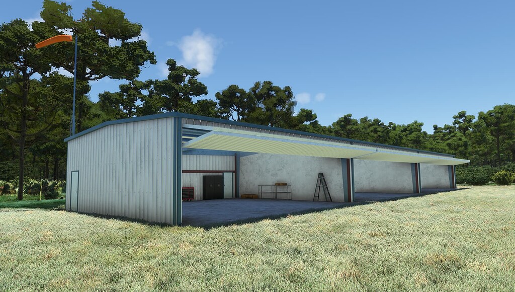 67FL Bald Eagle Airfield- Myakka Head (Cleetus McFarland's Airport ...