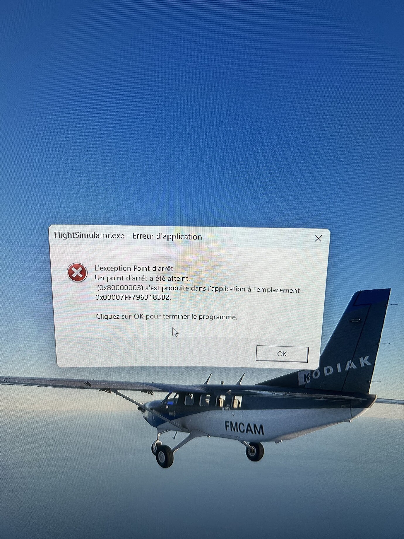 FlightSimulator.exe - Application Error (0x80000003) - A breakpoint has ...