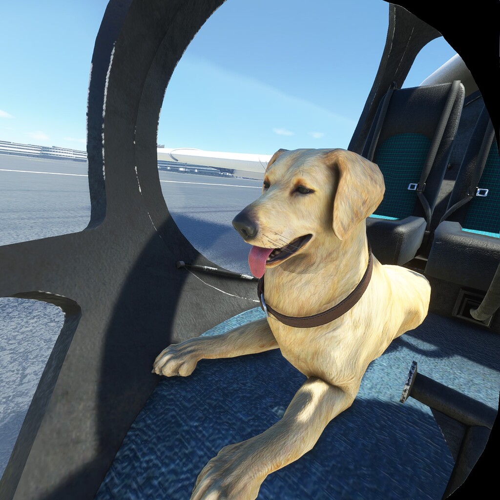 Woof woof! - World Photographer & Screenshots - Microsoft Flight ...