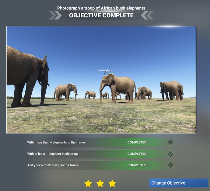 Where are the elephants? - Activities, Career & Challenges - Microsoft ...