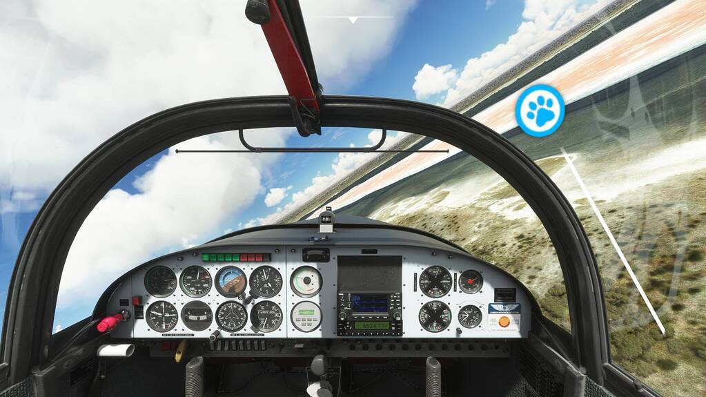 No Rhinos and Hippos after World Update 5 - Scenery and Airports ...