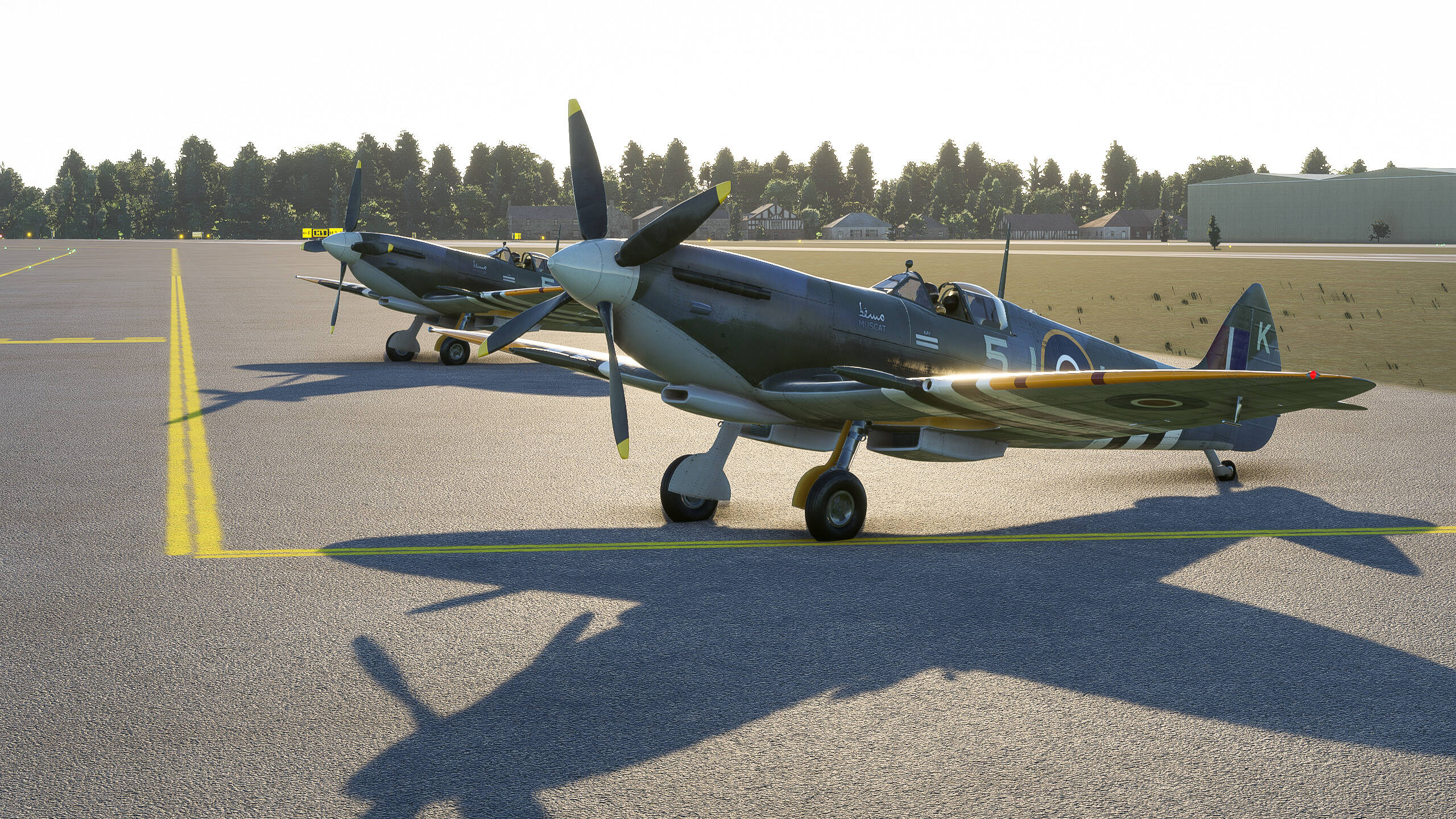 New Release : FlyingIron Simulations Spitfire L.F Mk IXc - #38 by mmaxx72 - Aircraft - Microsoft ...