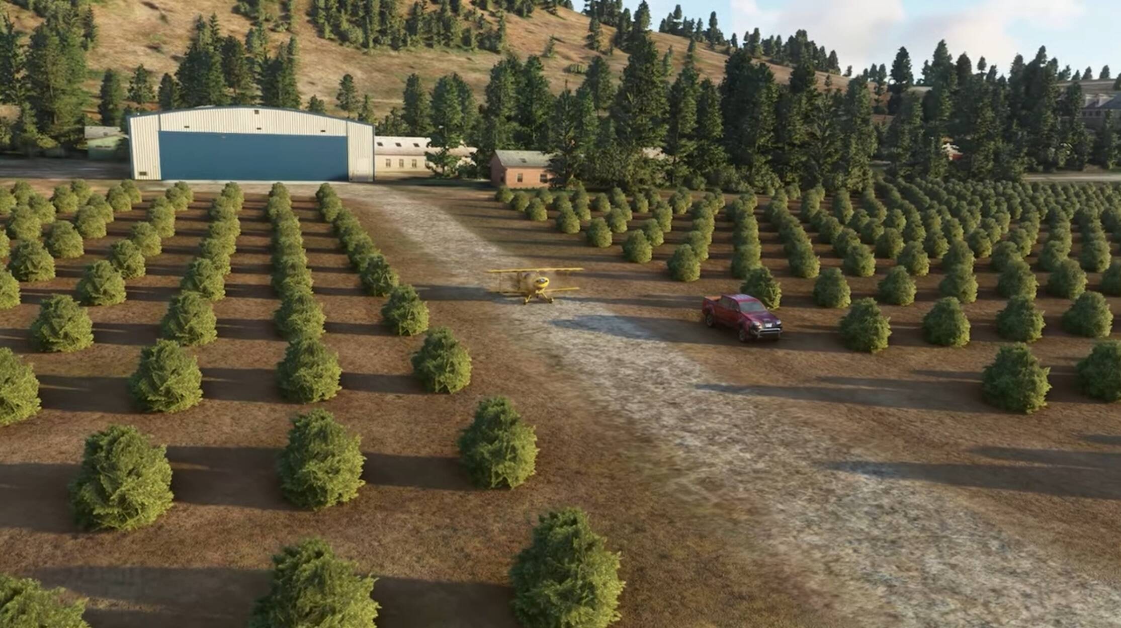 Microsoft Flight Simulator | Crop Dusting A Berry Farm - World ...