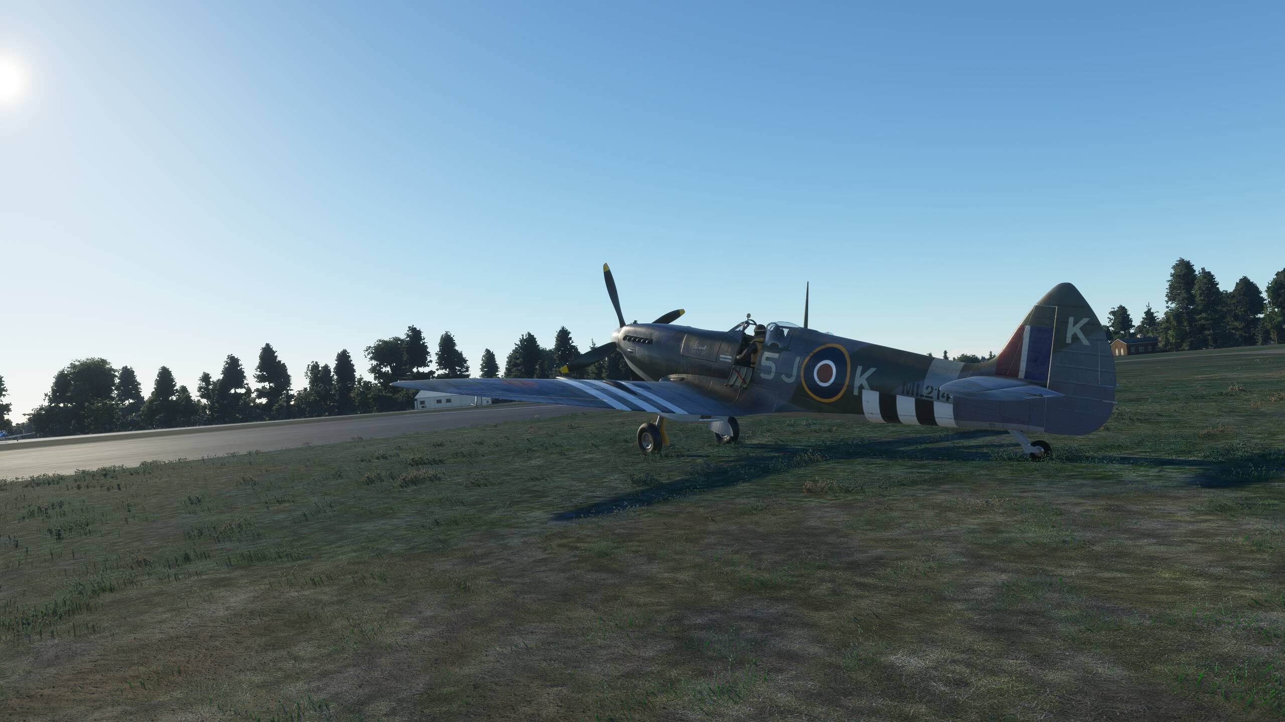 New Release : FlyingIron Simulations Spitfire L.F Mk IXc - #154 by TicTocRock - Aircraft ...
