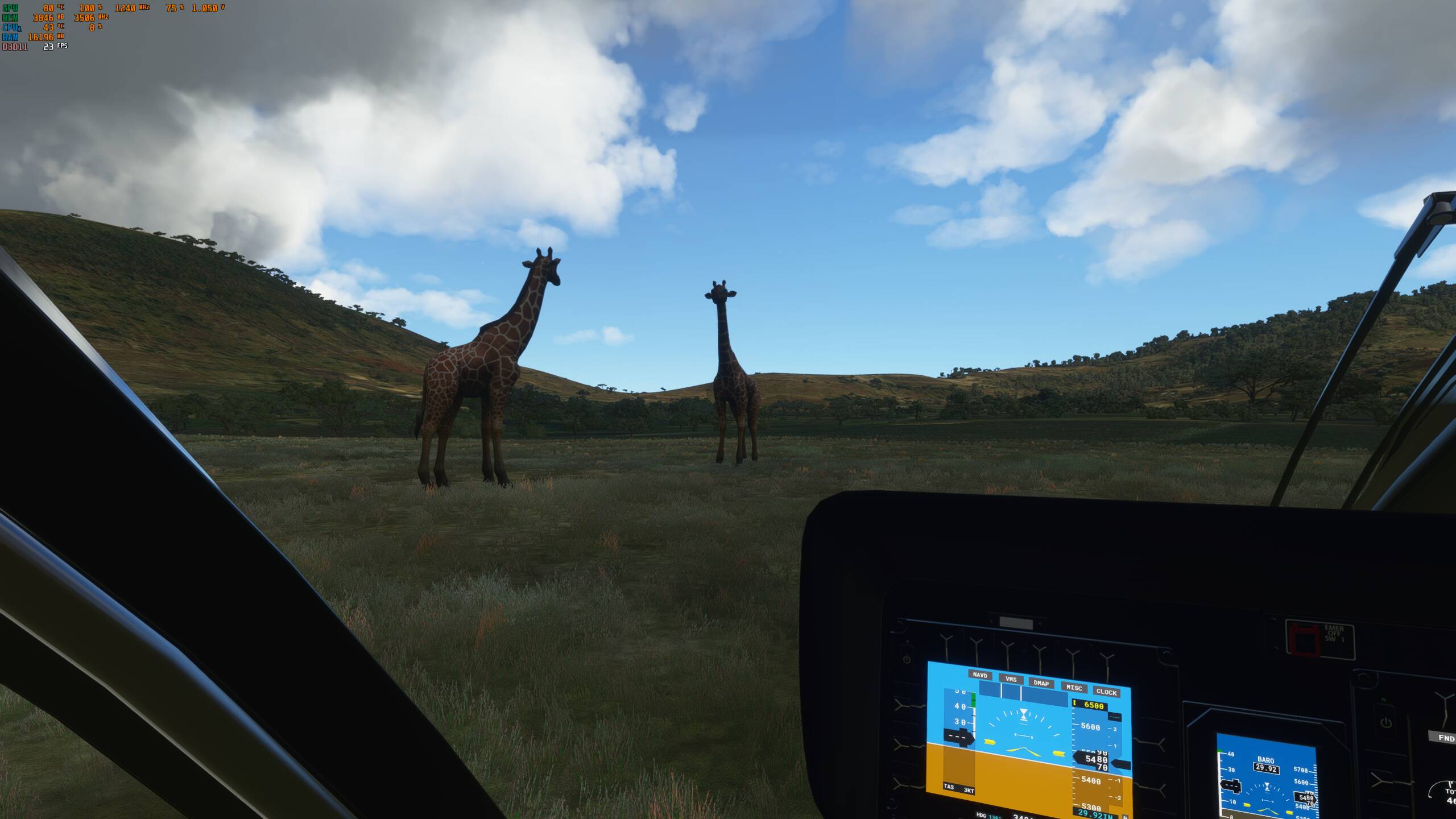 Wild Life Observation - General Discussion - Microsoft Flight Simulator ...