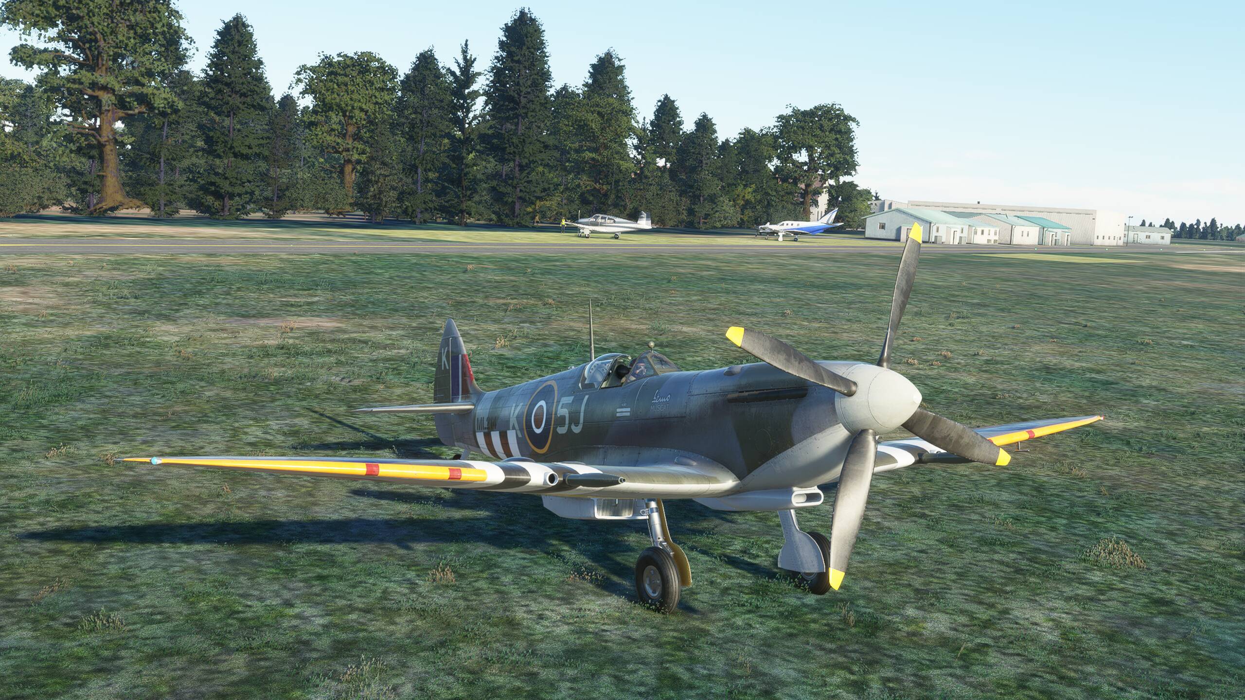 New Release : FlyingIron Simulations Spitfire L.F Mk IXc - #154 by TicTocRock - Aircraft ...