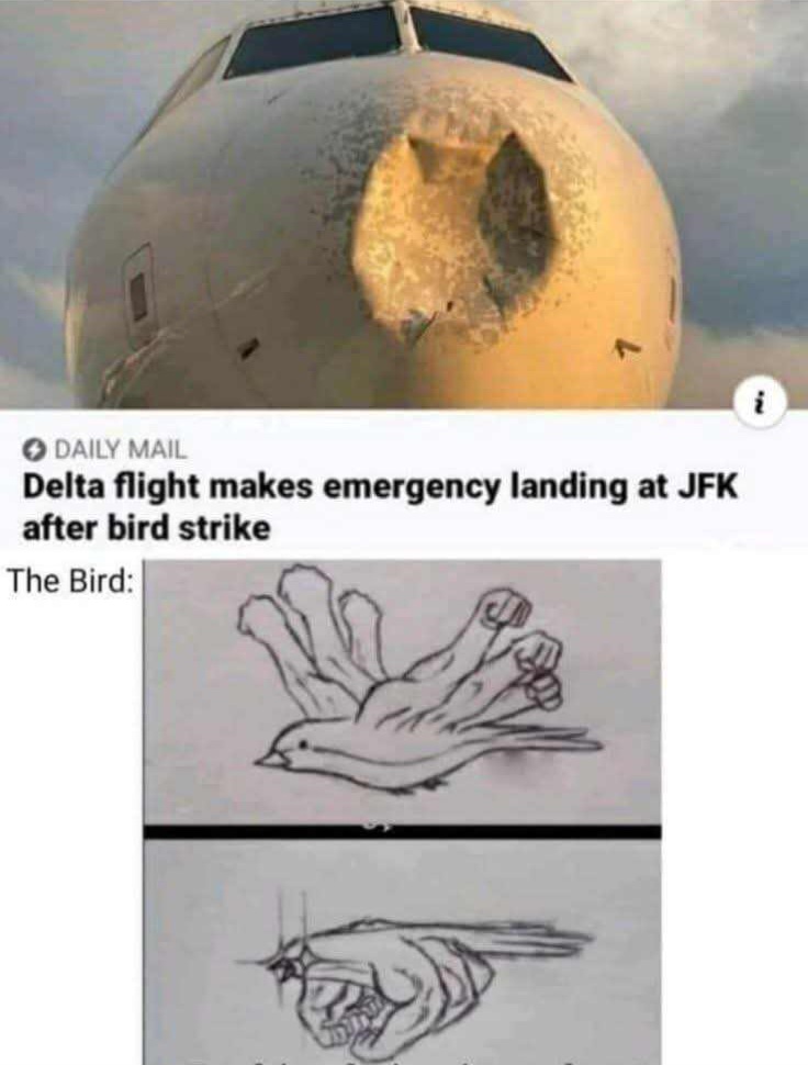 Favorite (Code of Conduct appropriate) FS memes? - #477 by Tuffbull7923 ...