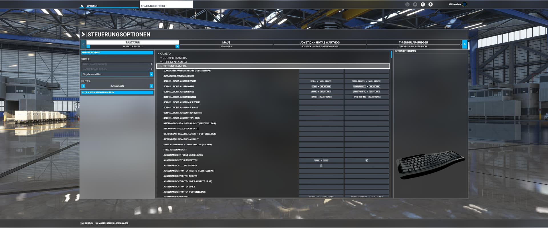 Arrow key esternal view camera - General Discussion - Microsoft Flight ...