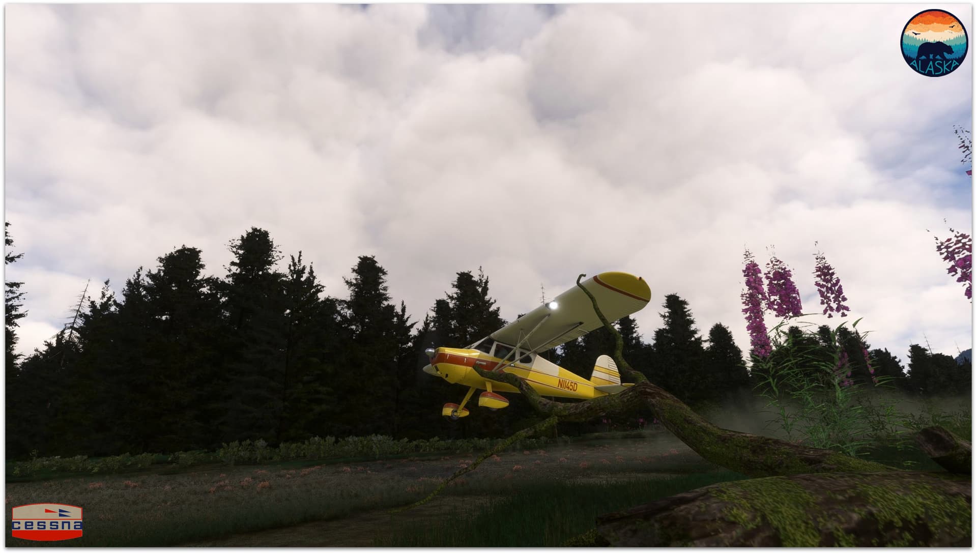 Random Screenshot Megathread 4 - #1938 by Medevac01 - World ...