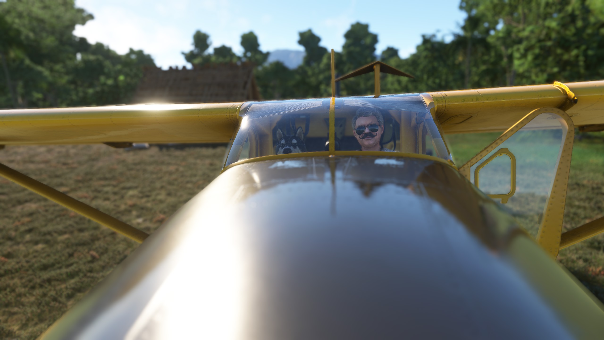[RELEASED] Avitar Series | Got Friends - Page 7 - Aircraft - Microsoft ...