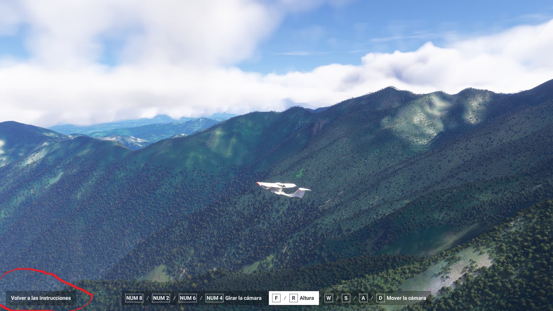 Using free camera using custom keyboard mappings renders MSFS unusable ...