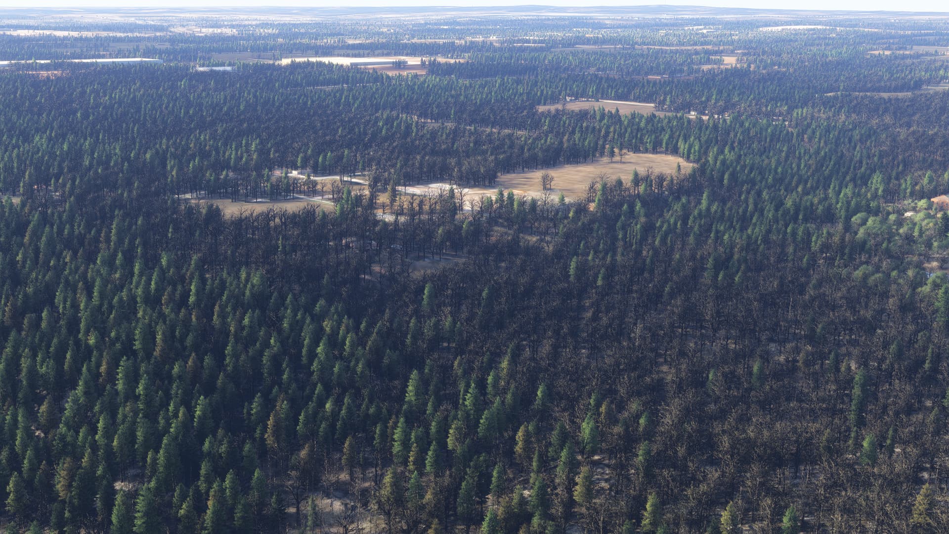 FS2024 Graphics Settings and Performance Guide (11/20/2024) - Install ...