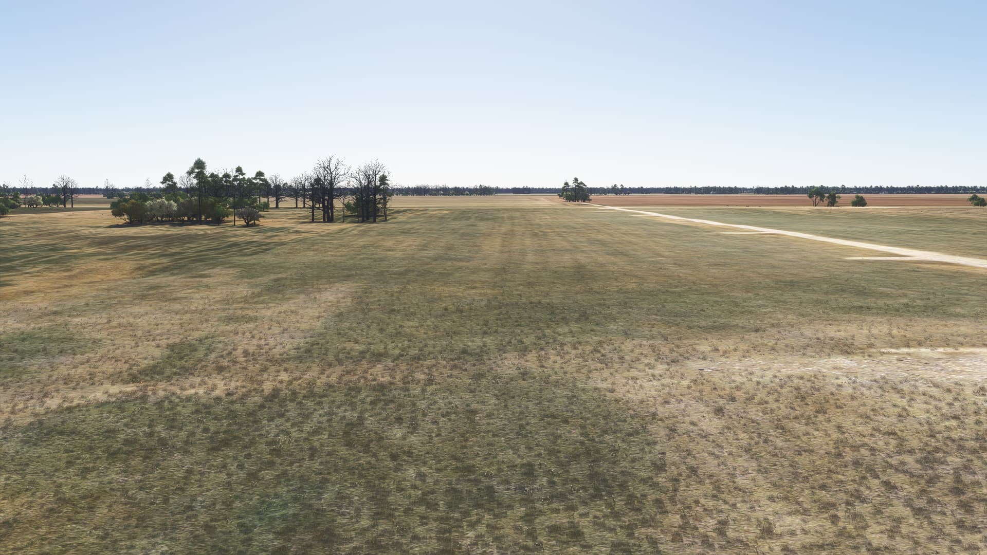 FS2024 Graphics Settings and Performance Guide (11/20/2024) - Install ...