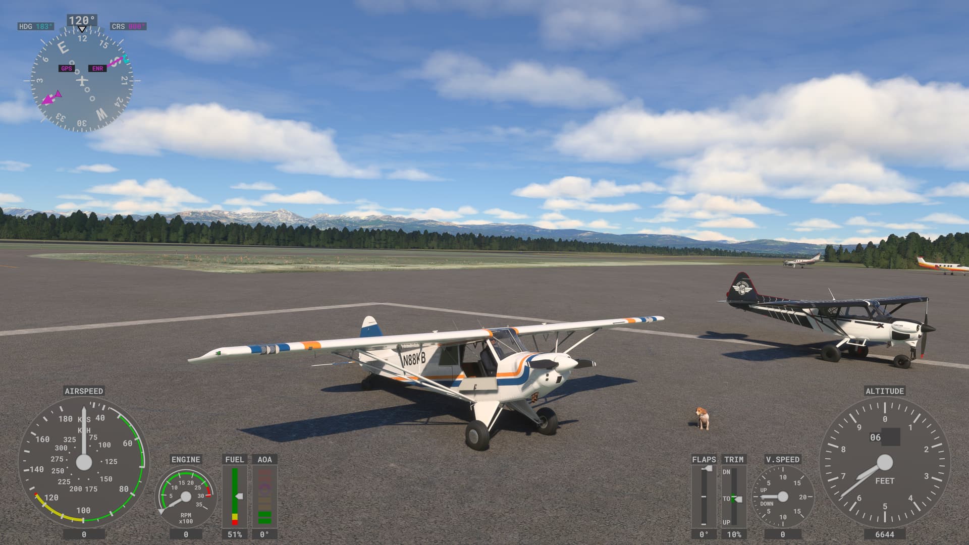 Trees better, but - World Discovery - Microsoft Flight Simulator Forums