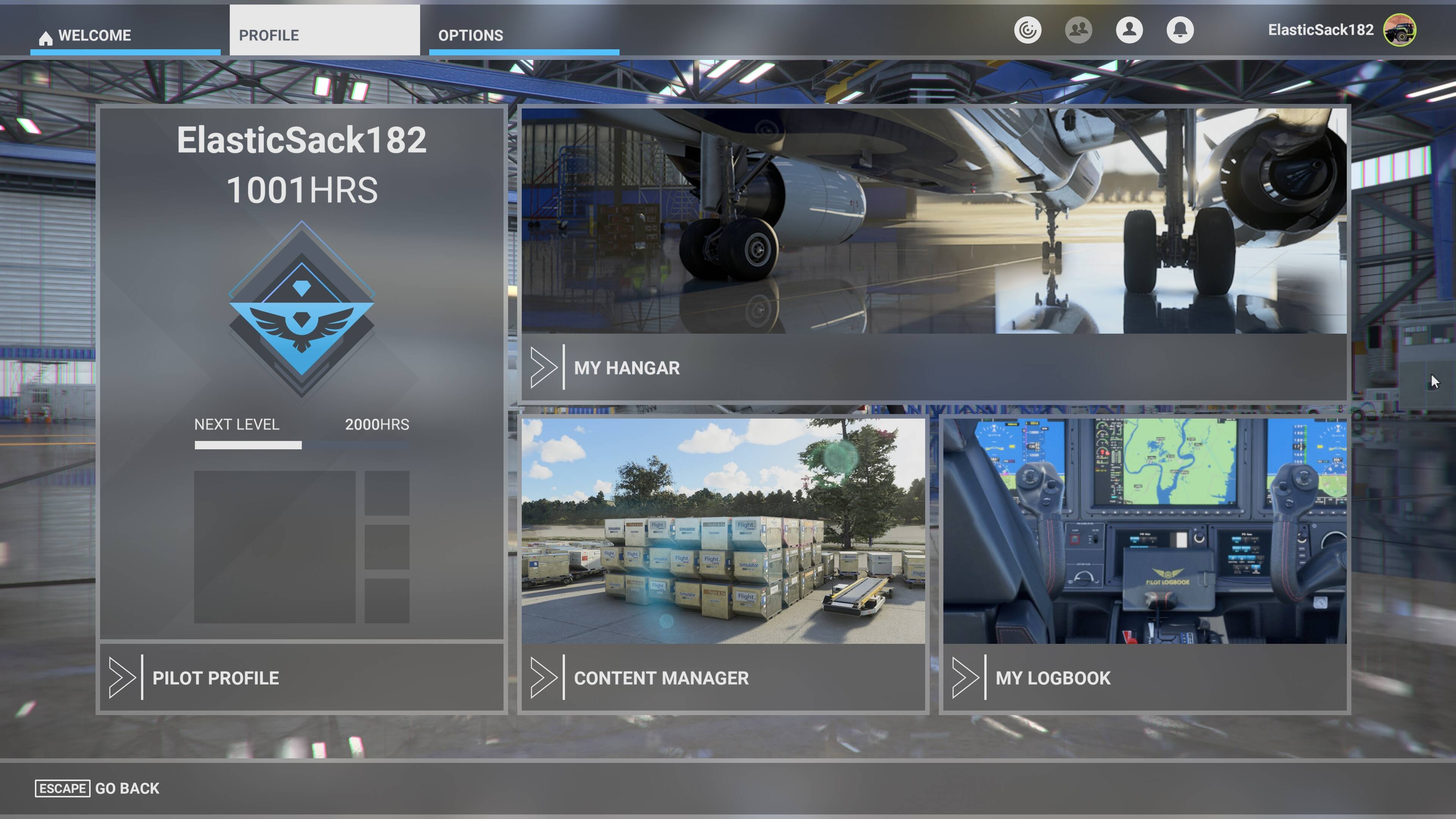 How many hours have you flown so far? - #544 by joeaudacious - General ...