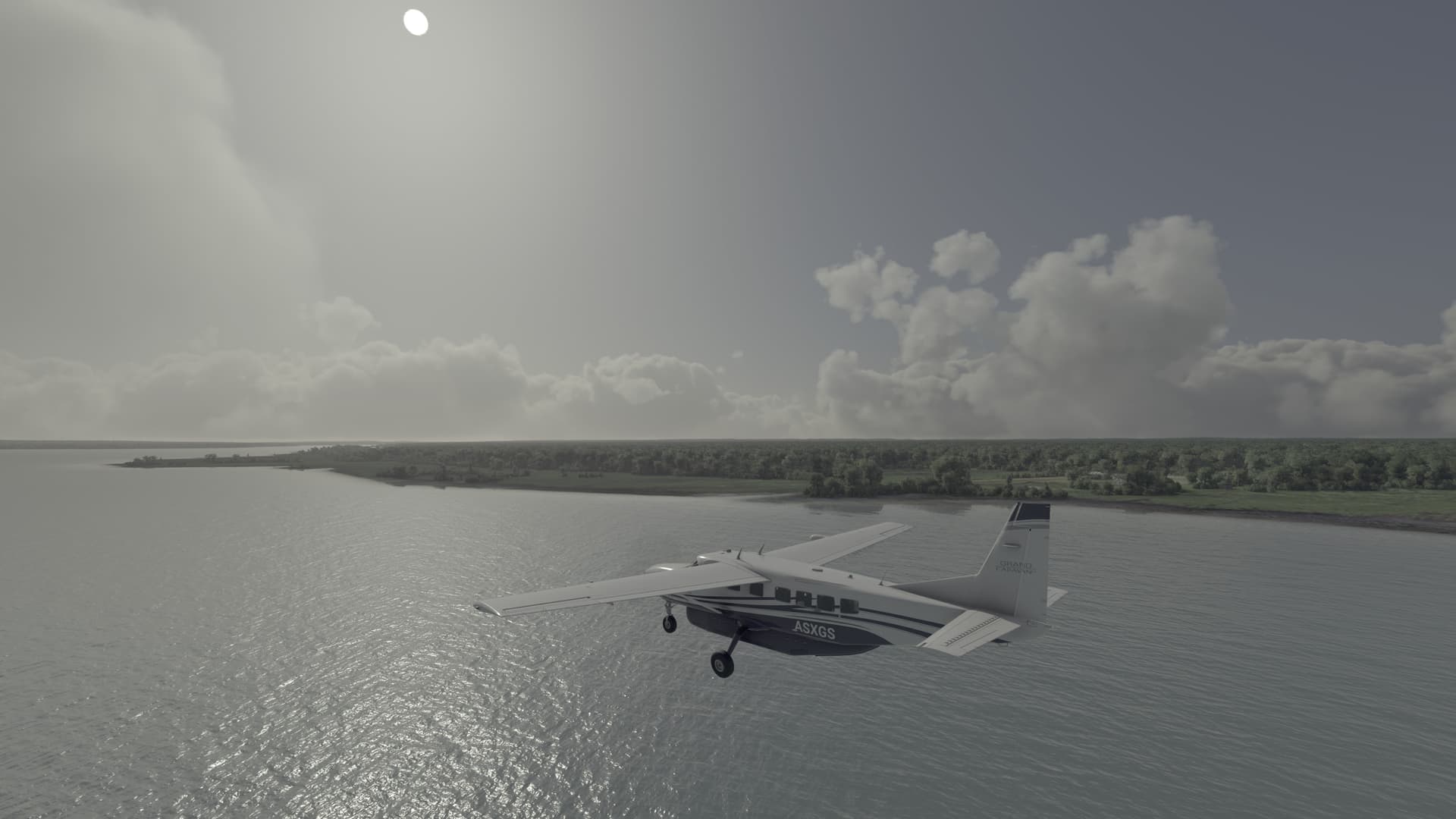 How to reduce BLOOM from the SUN? - General Discussion - Microsoft ...