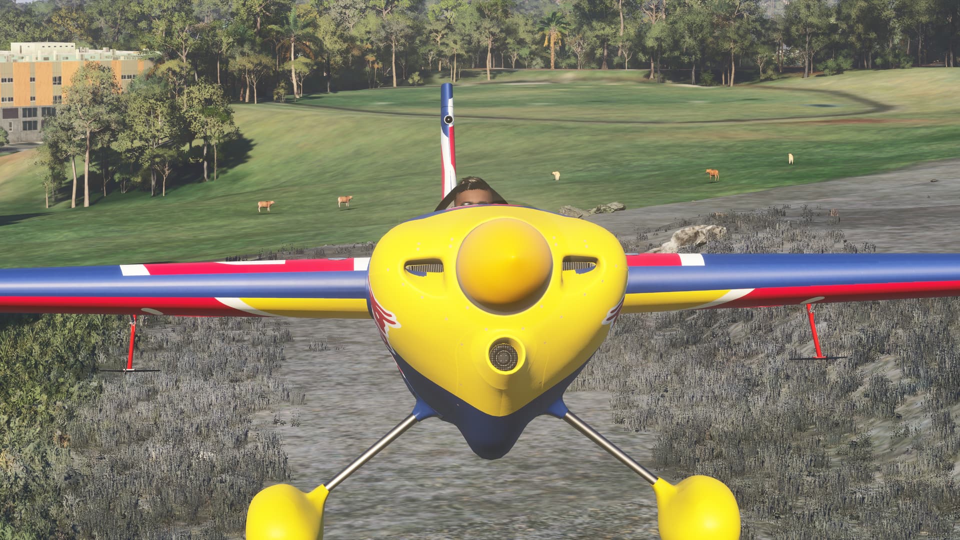 Animated cows :) - Wishlist - Microsoft Flight Simulator Forums