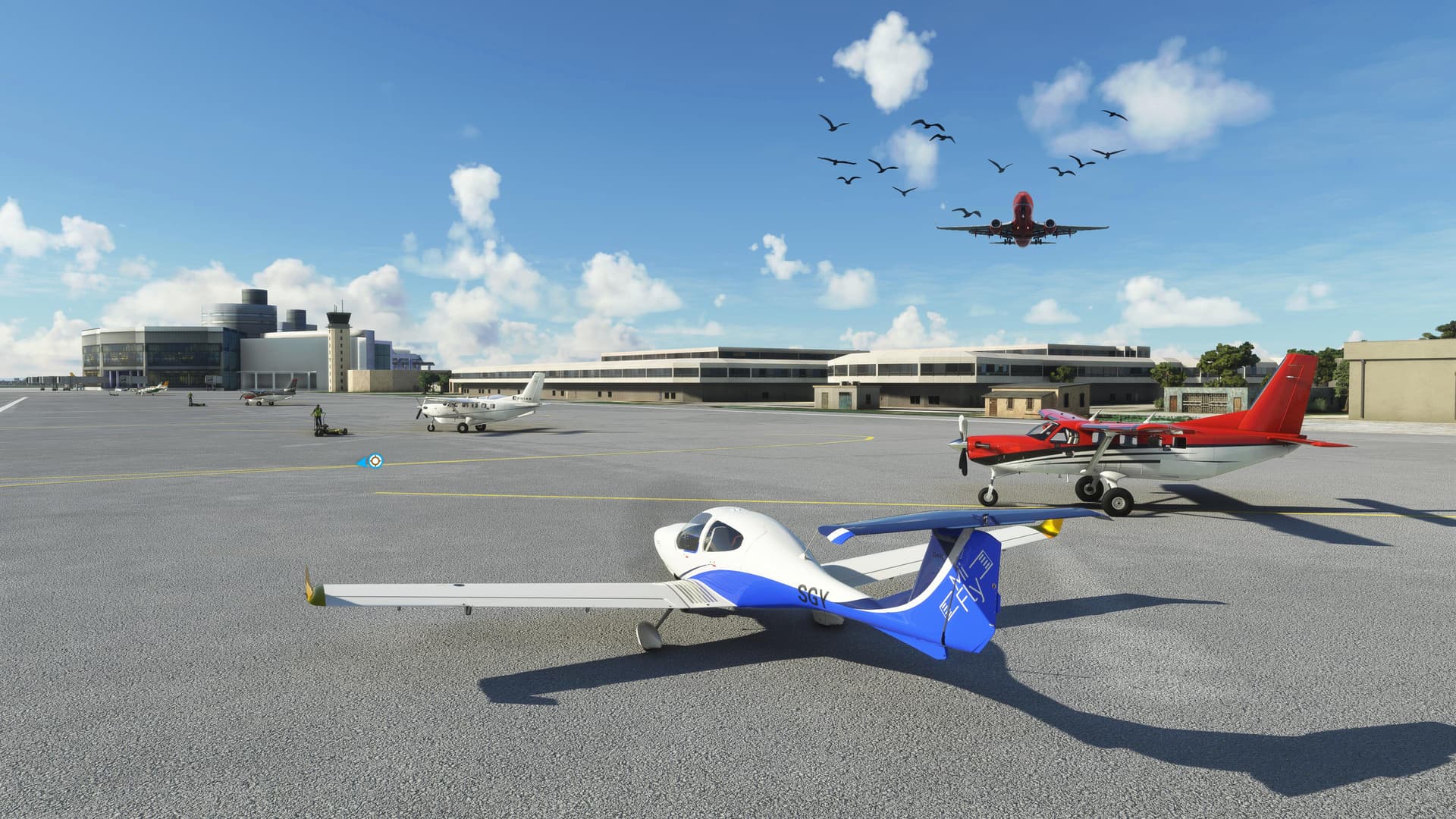 Animals on the runway, birds in the sky - Page 2 - Wishlist - Microsoft ...