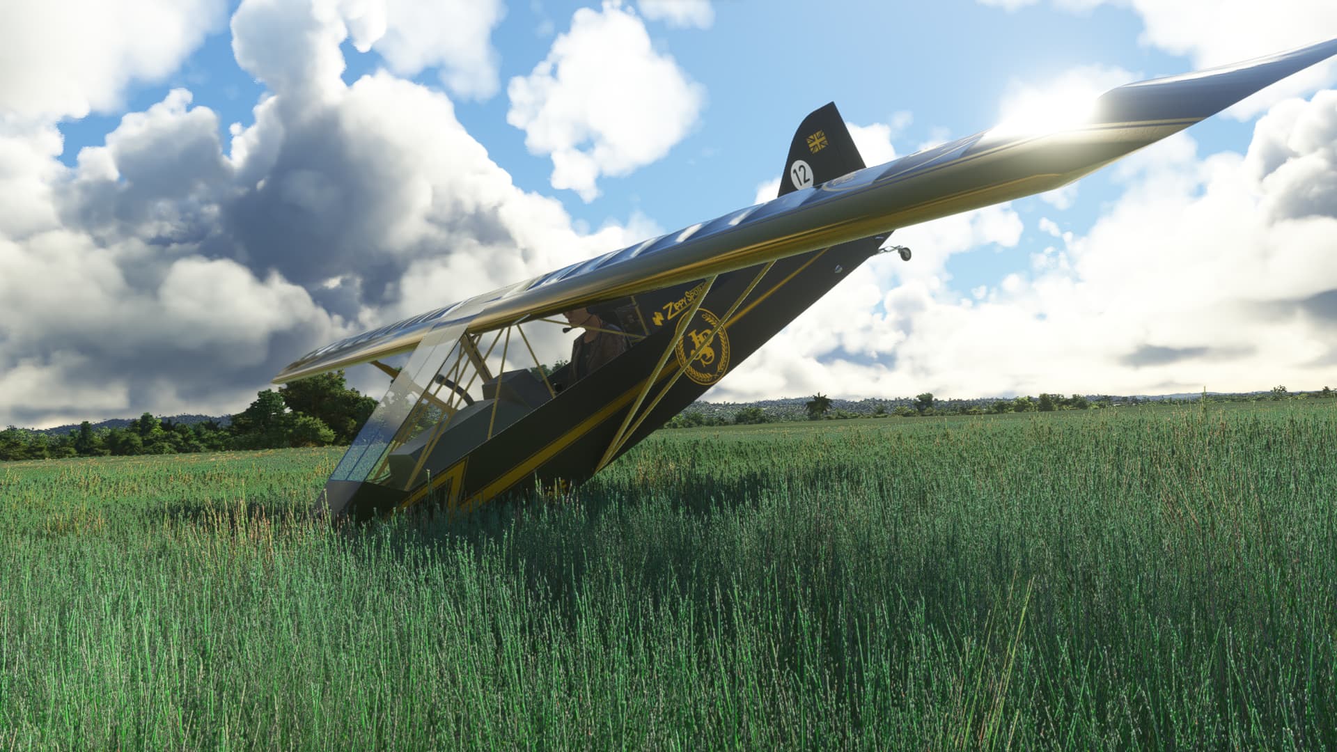 [RELEASED] Rara-Avis Sims Zippy Sport - Aircraft - Microsoft Flight ...