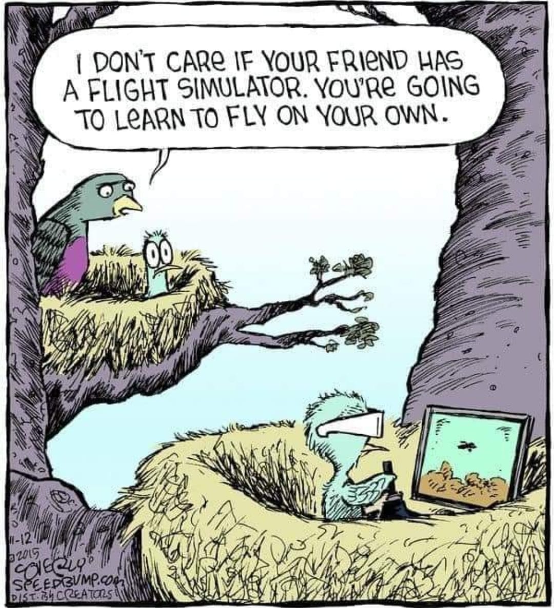 Favorite (Code of Conduct appropriate) FS memes? - #373 by NiKoTin3420 ...