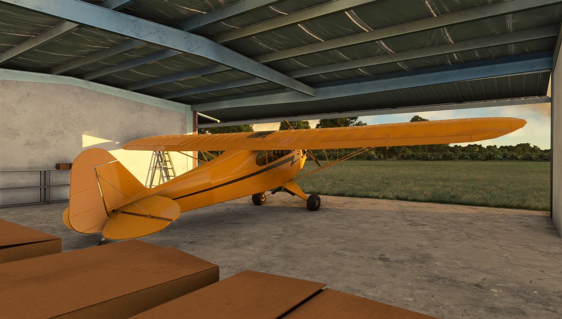 67FL Bald Eagle Airfield- Myakka Head (Cleetus McFarland's Airport ...