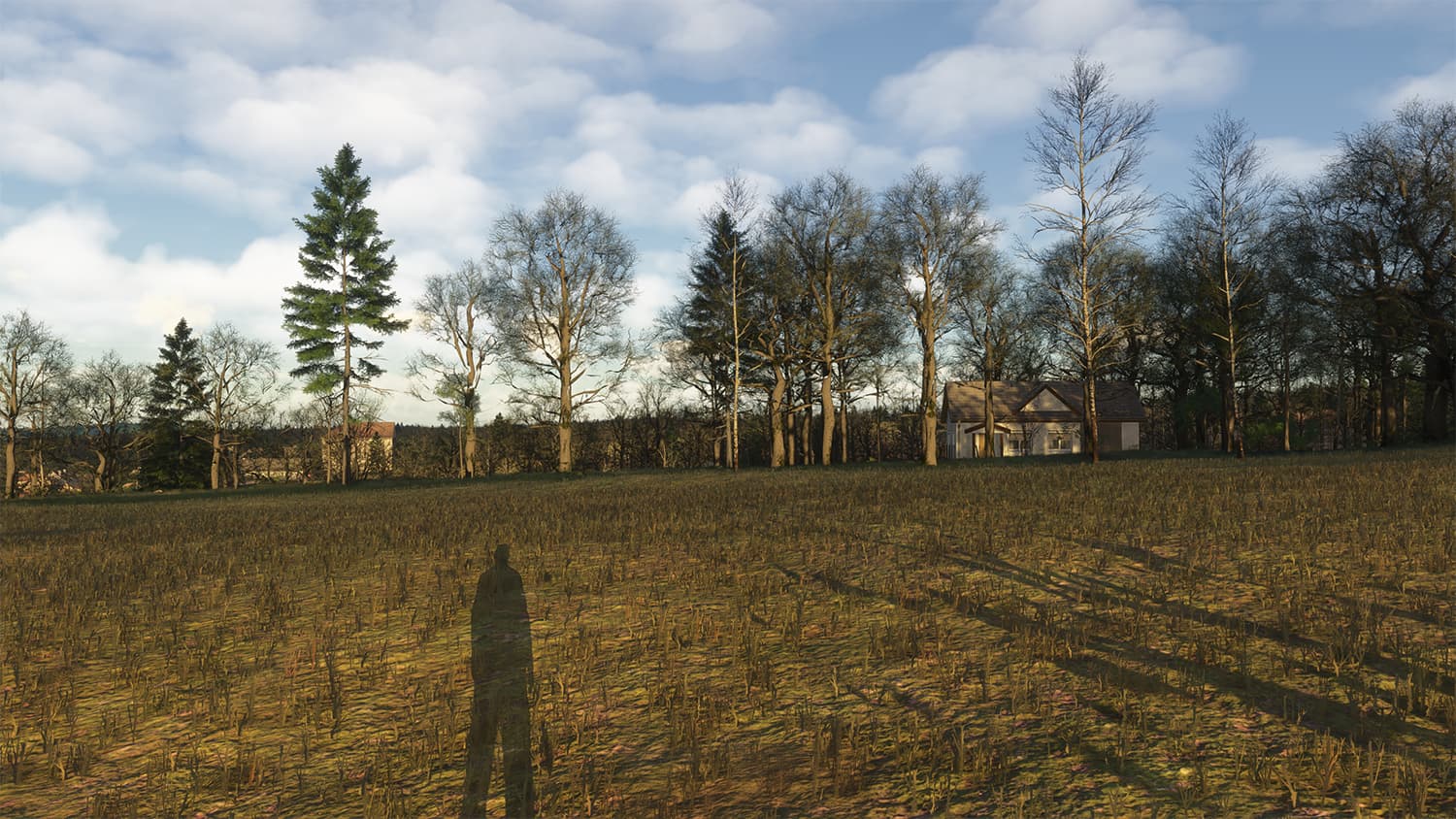 Default ground scenery worse than FS2020 - Page 2 - World Discovery ...