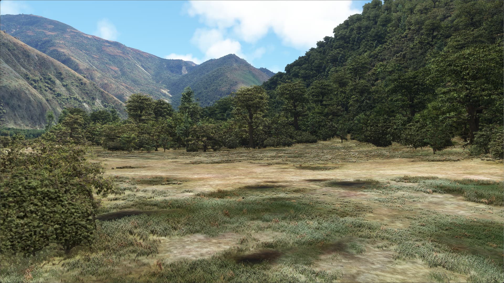 FS2020 Graphics Settings and Performance Guide (SU12 Update) (7/26/2023 ...